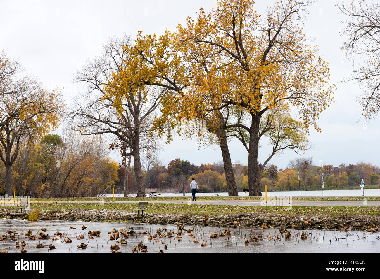 Chilly autumn hi-res stock photography and images - Alamy