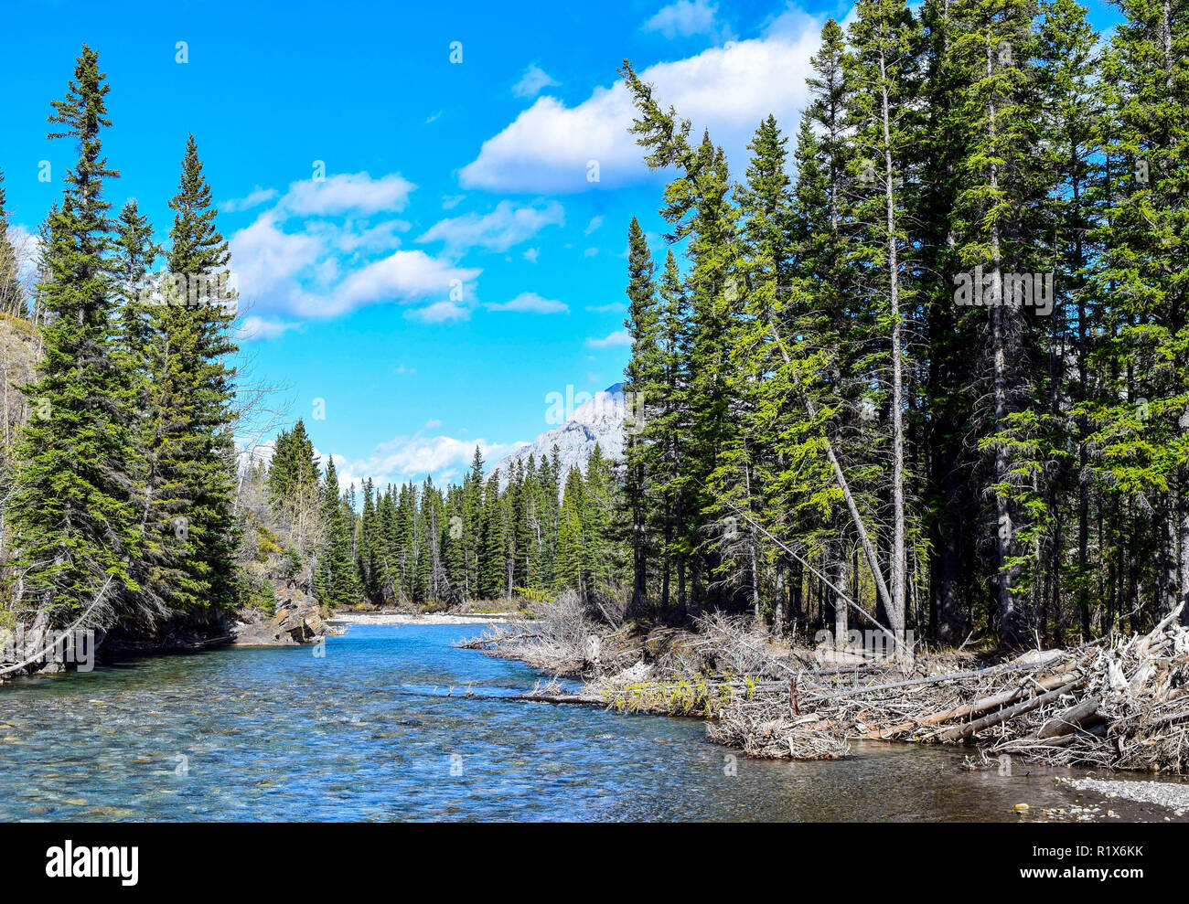 Mt kidd campground hi-res stock photography and images - Alamy