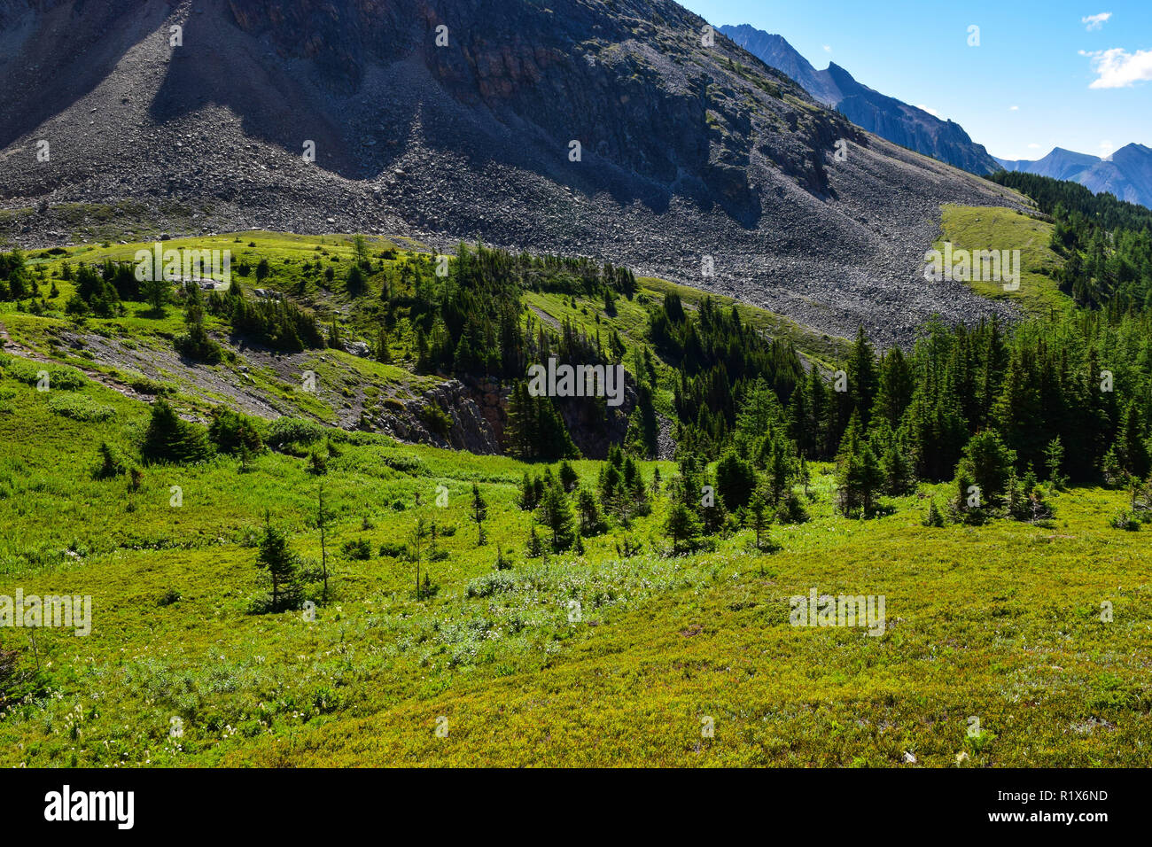 sunny warm day scenes in the mountains Stock Photo - Alamy