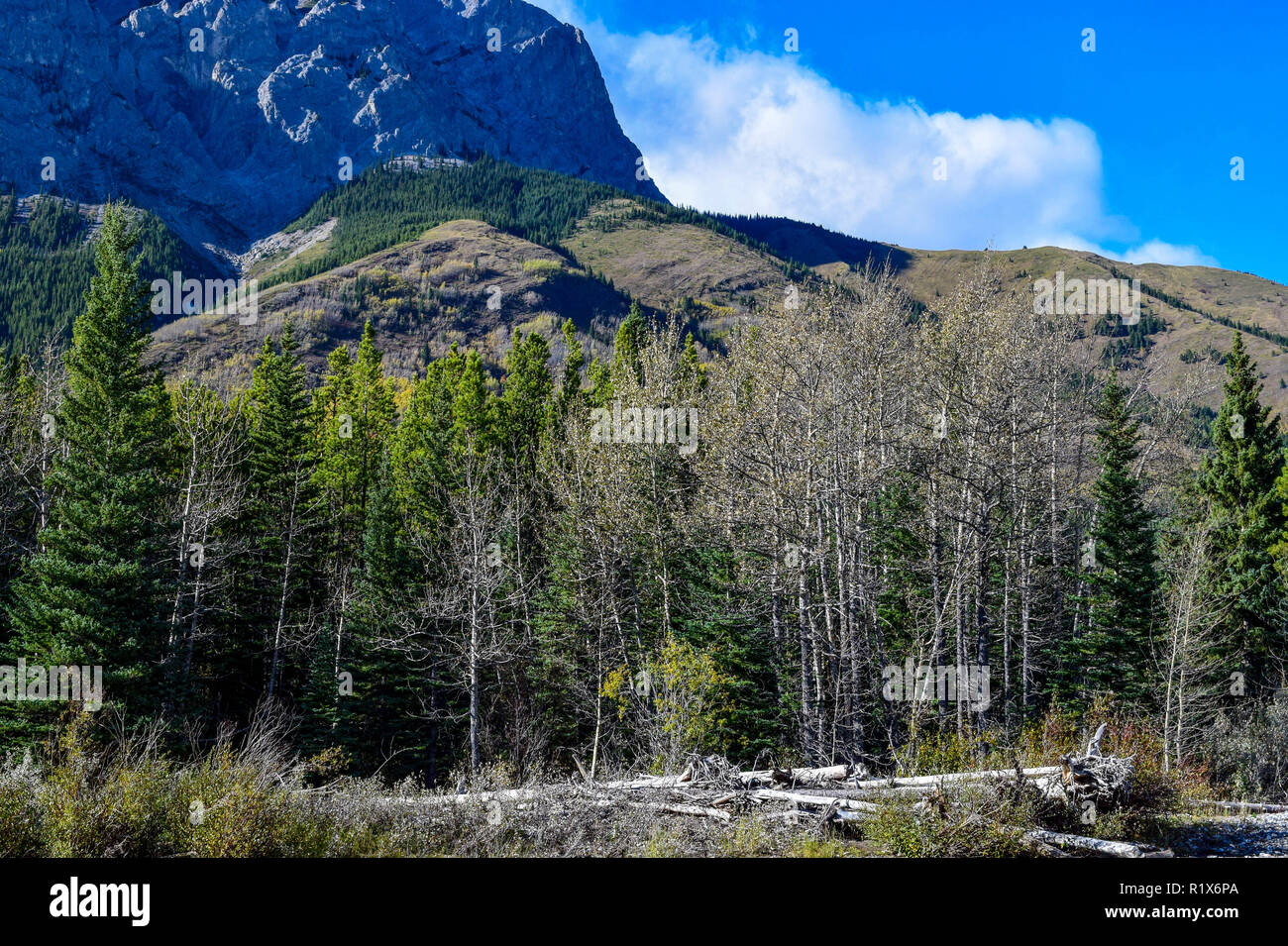 sunny warm day scenes in the mountains Stock Photo - Alamy