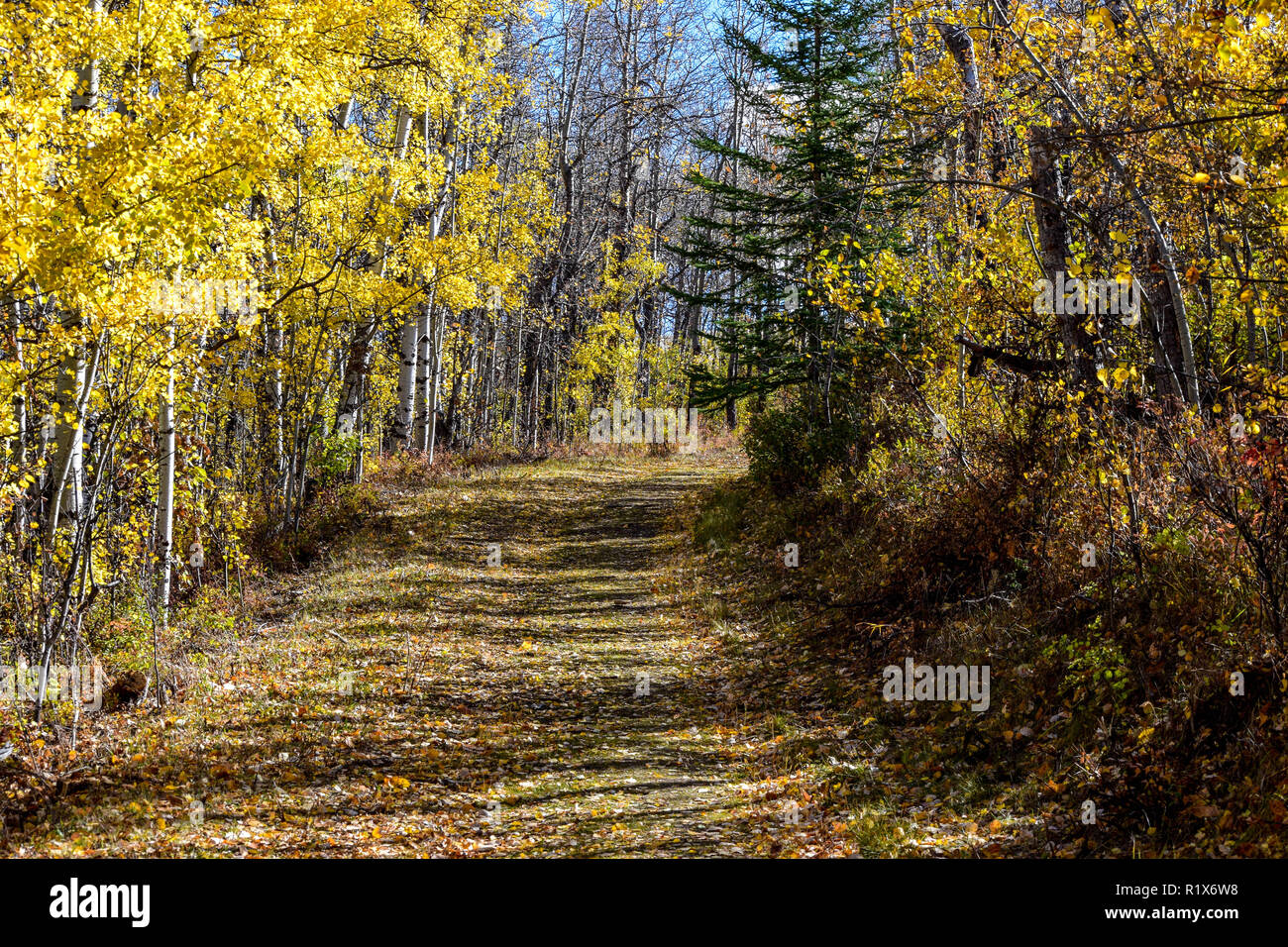 sunny warm day scenes in the mountains Stock Photo - Alamy