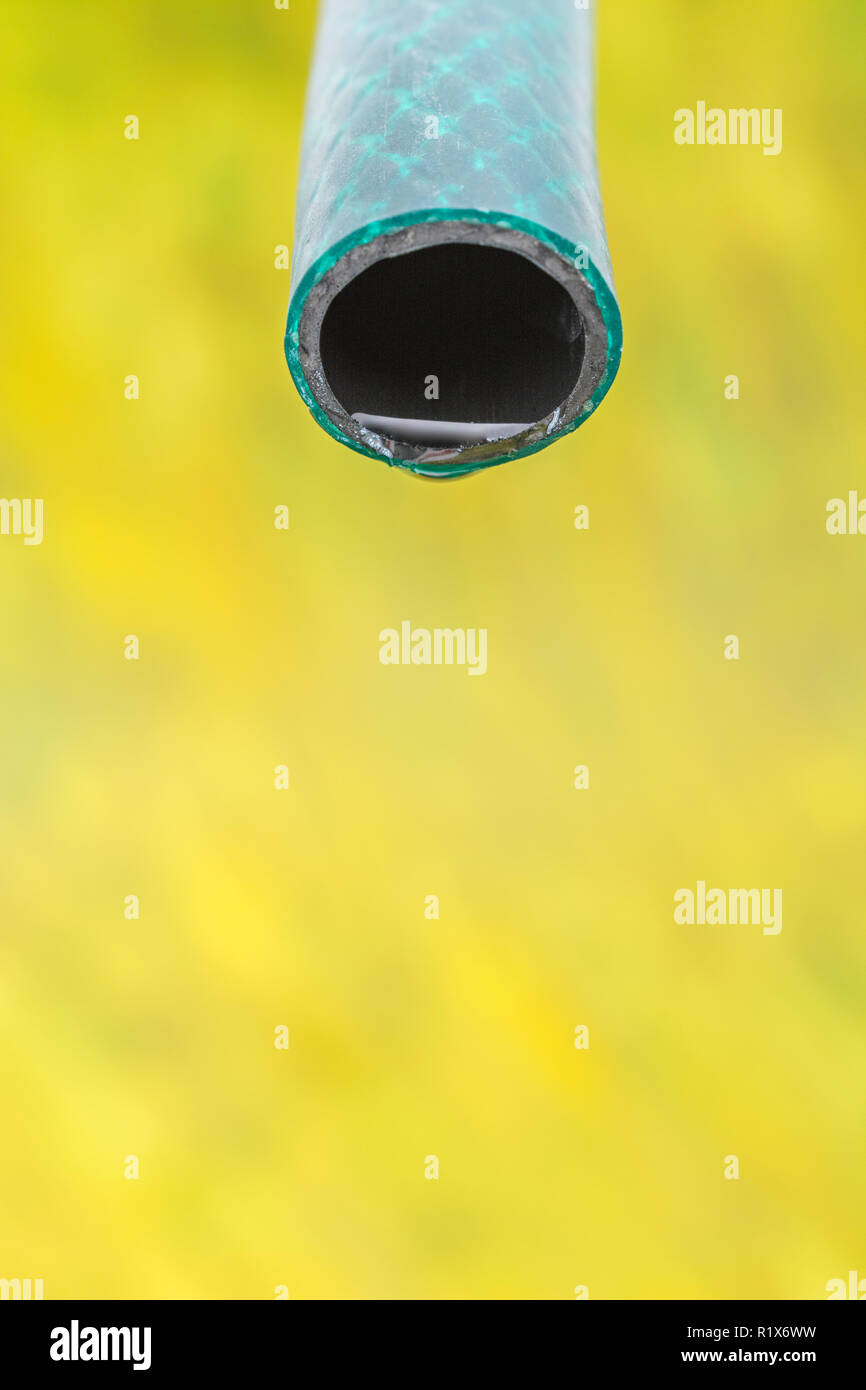 Plastic garden hosepipe / PVC hose pipe against dried garden vegetation ...