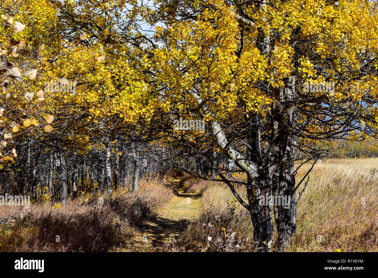 sunny warm day scenes in the mountains Stock Photo - Alamy