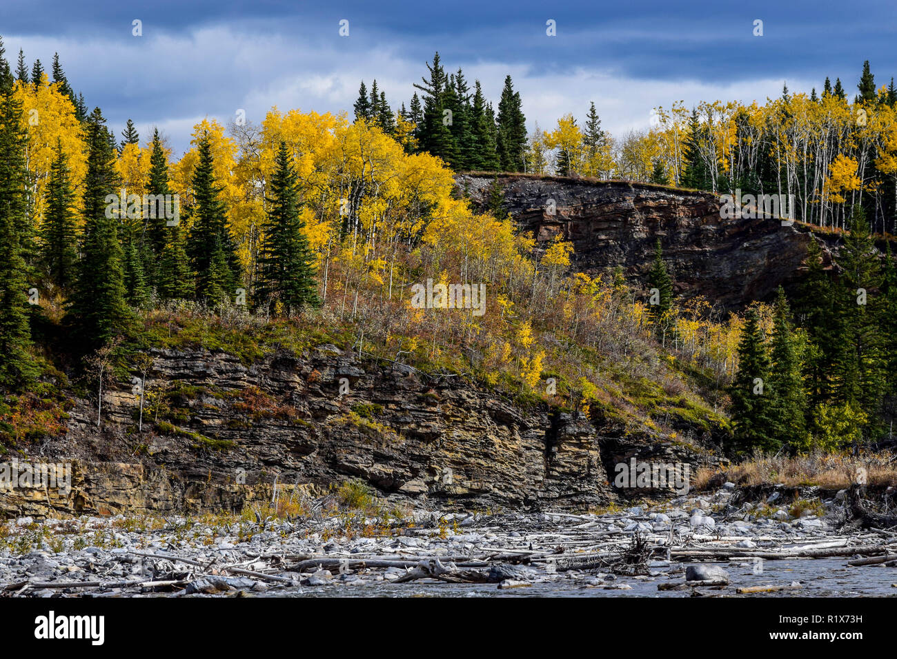 fall colours on the trail in the foothills of Alberta Stock Photo - Alamy