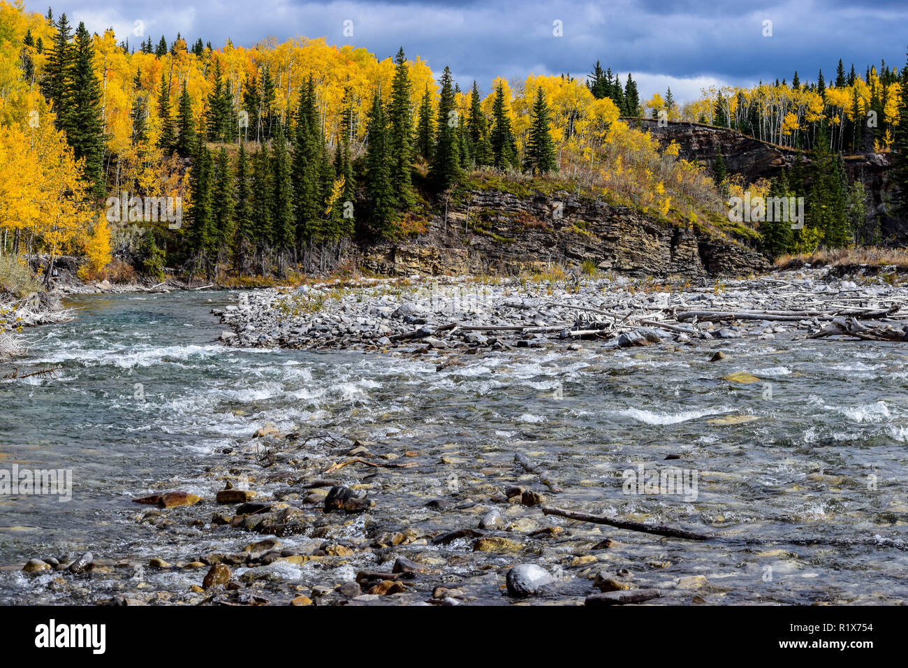 fall colours on the trail in the foothills of Alberta Stock Photo - Alamy
