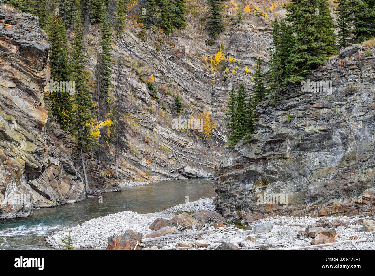 fall colours on the trail in the foothills of Alberta Stock Photo - Alamy
