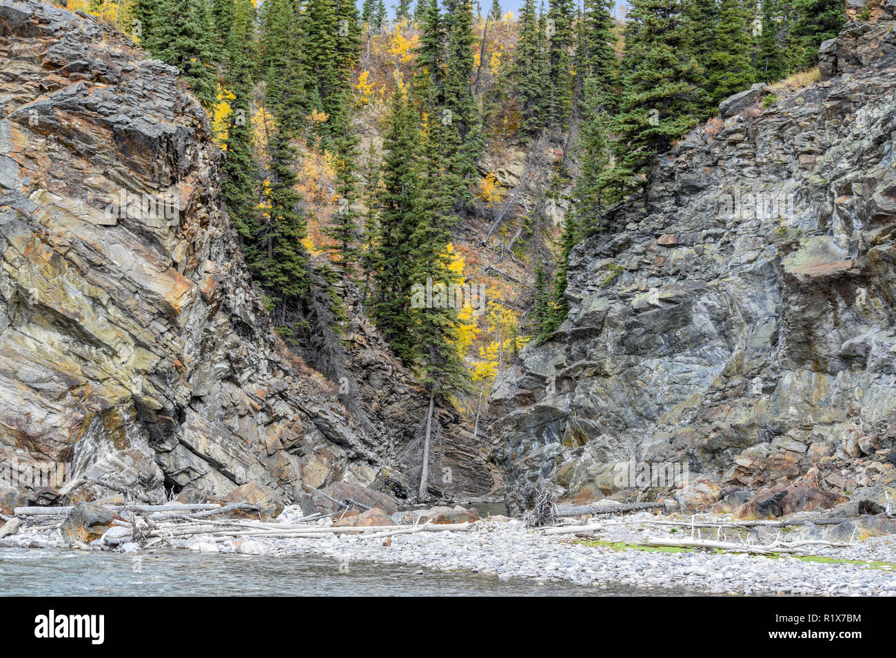 fall colours on the trail in the foothills of Alberta Stock Photo - Alamy