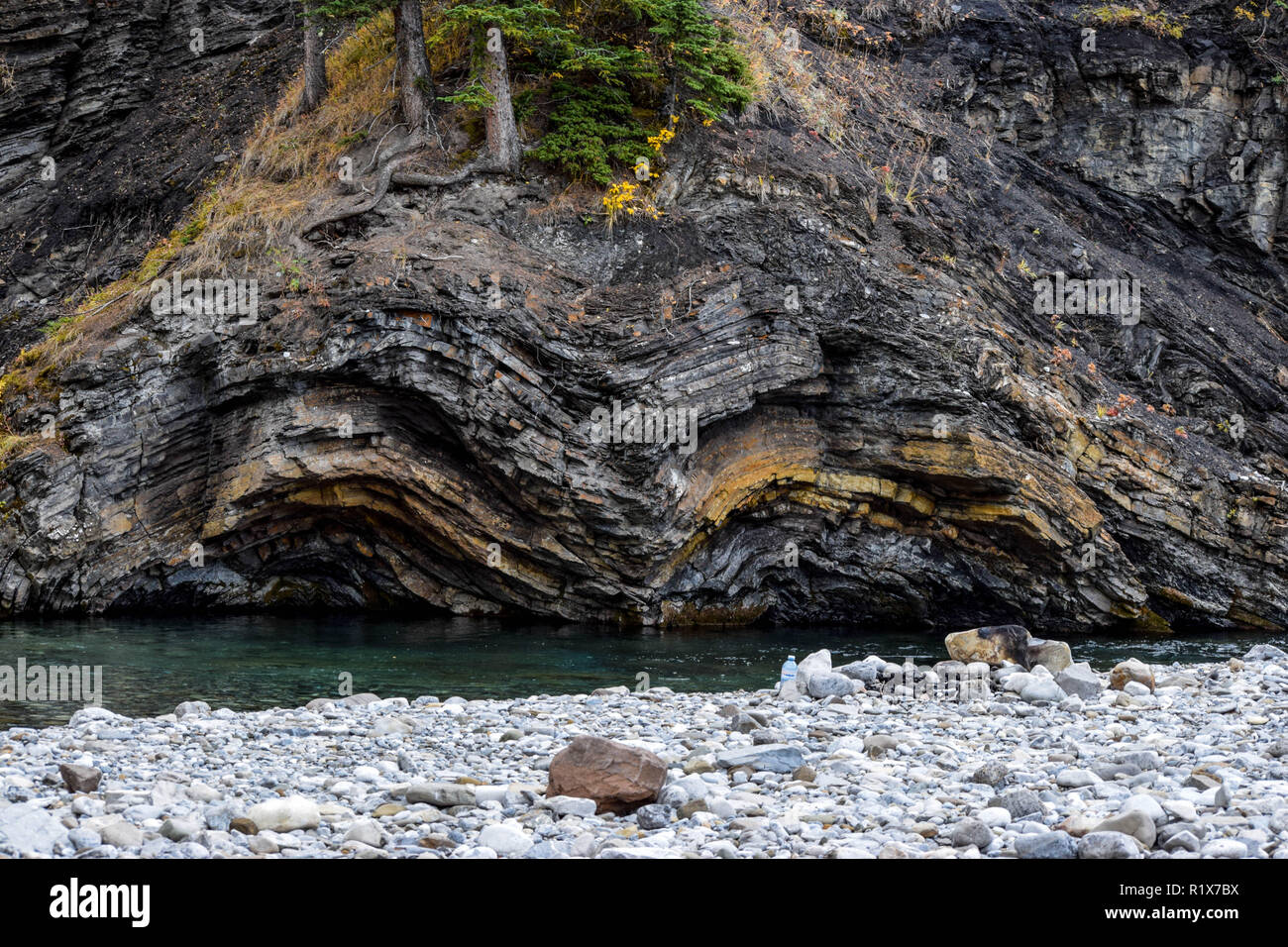 fall colours on the trail in the foothills of Alberta Stock Photo - Alamy