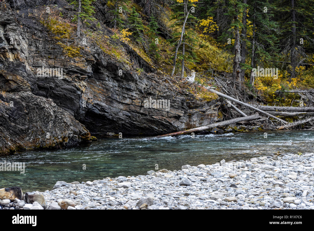 fall colours on the trail in the foothills of Alberta Stock Photo - Alamy