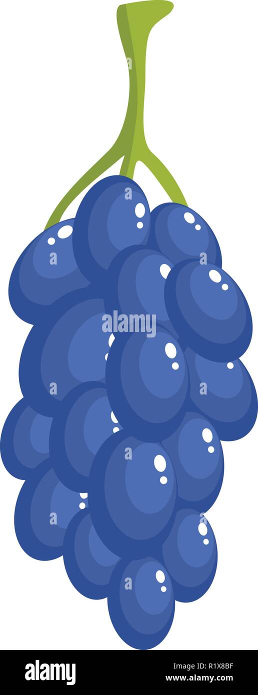 Bunch of grape icon. Cartoon illustration of bunch of grape vector icon ...