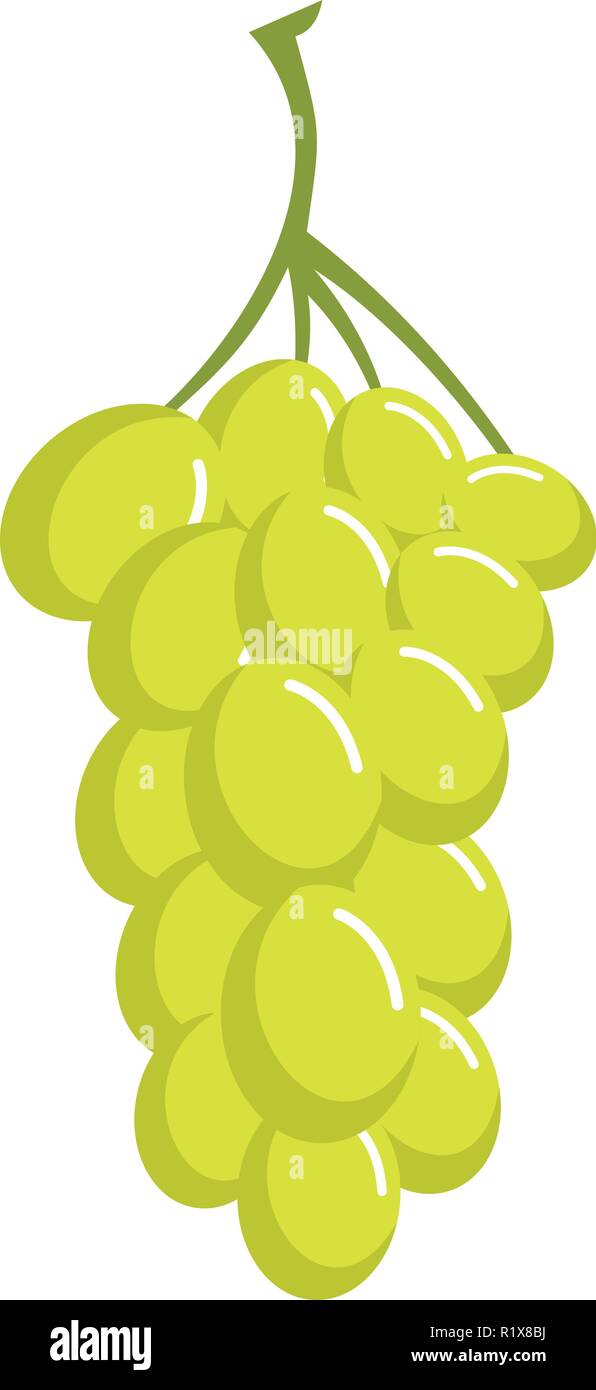 Sultana grape icon. Cartoon illustration of sultana grape vector icon ...