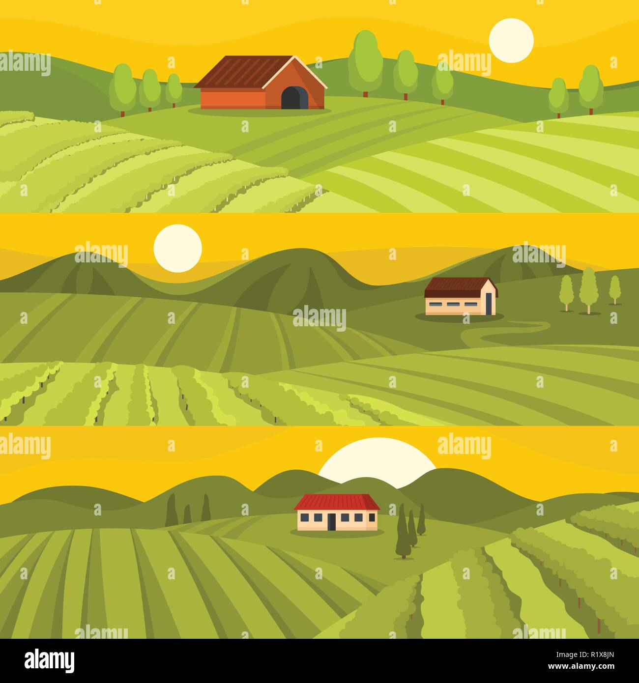 Vineyard wine grapes hills banner horizontal concept set. Flat ...