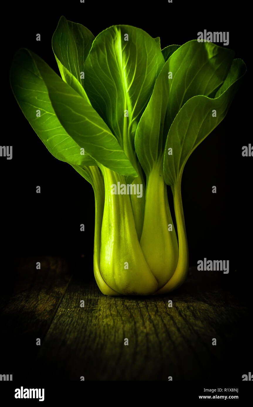 Fat choy hi-res stock photography and images - Alamy