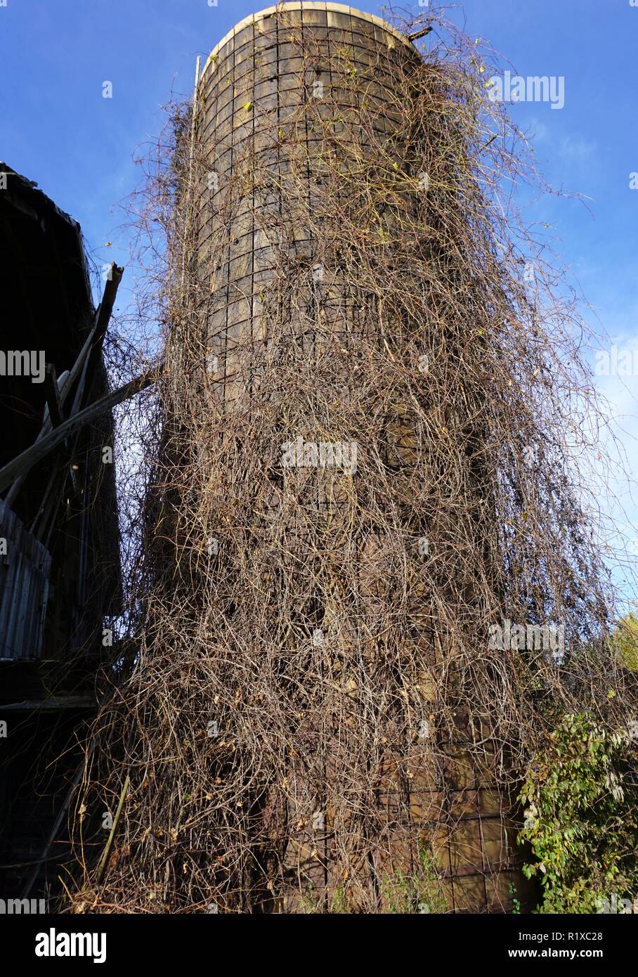 Abandoned barn hi-res stock photography and images - Alamy