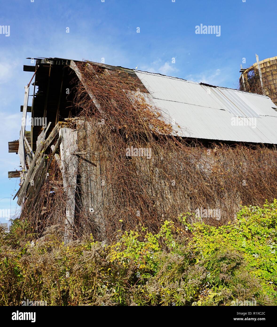 Small wooden barn hi-res stock photography and images - Alamy