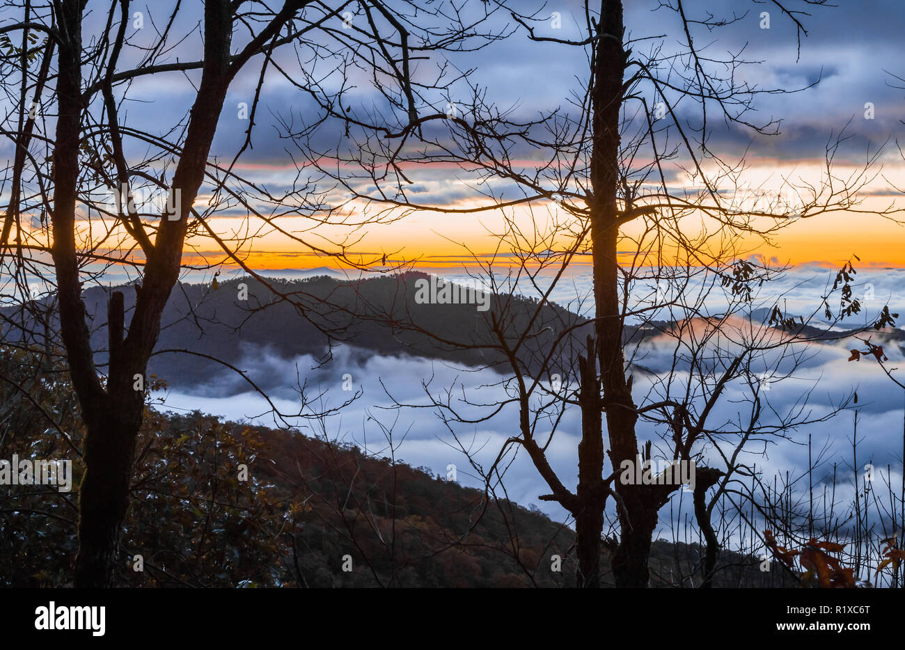 Cr2 hi-res stock photography and images - Alamy