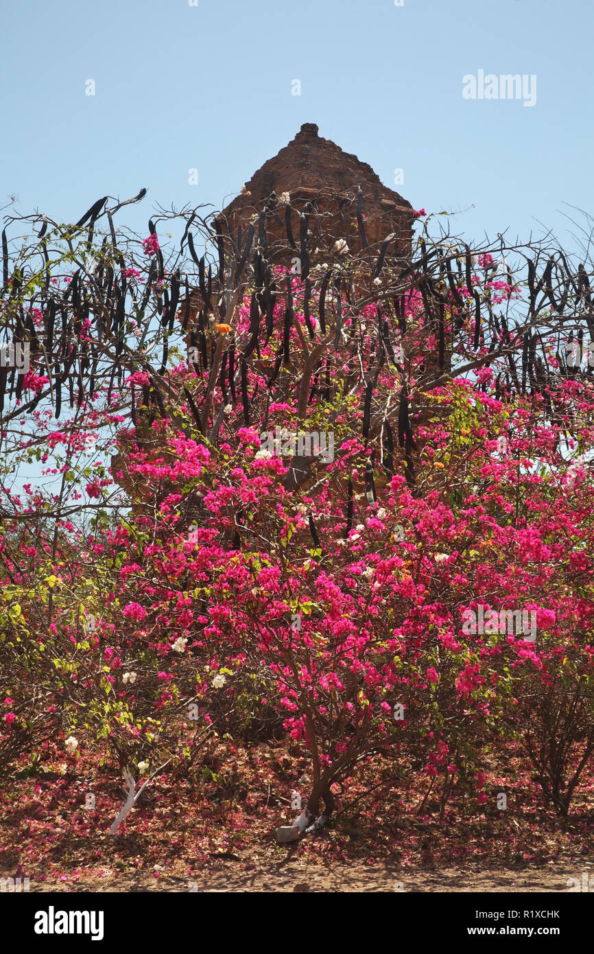 Poshanu Cham Tower in Phan Thiet. Vietnam Stock Photo - Alamy
