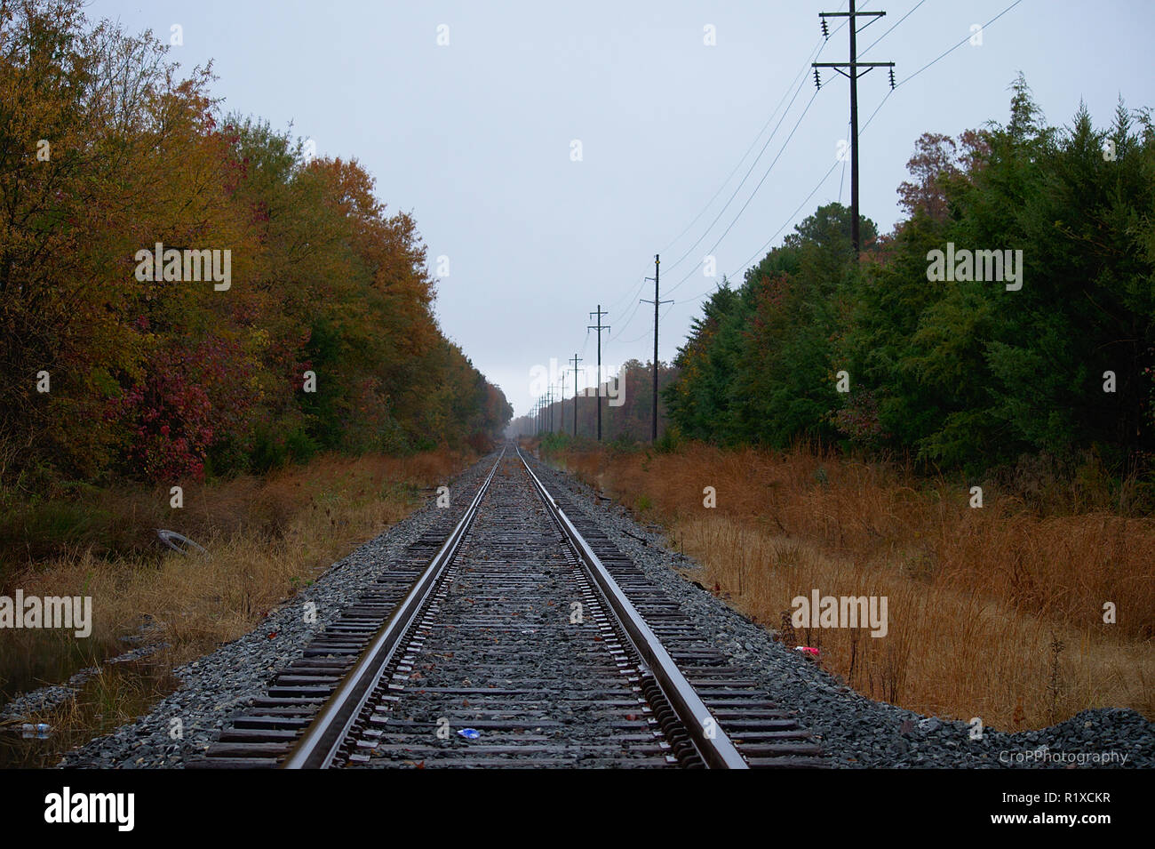 Train-less railway tracks in the fall Stock Photo - Alamy
