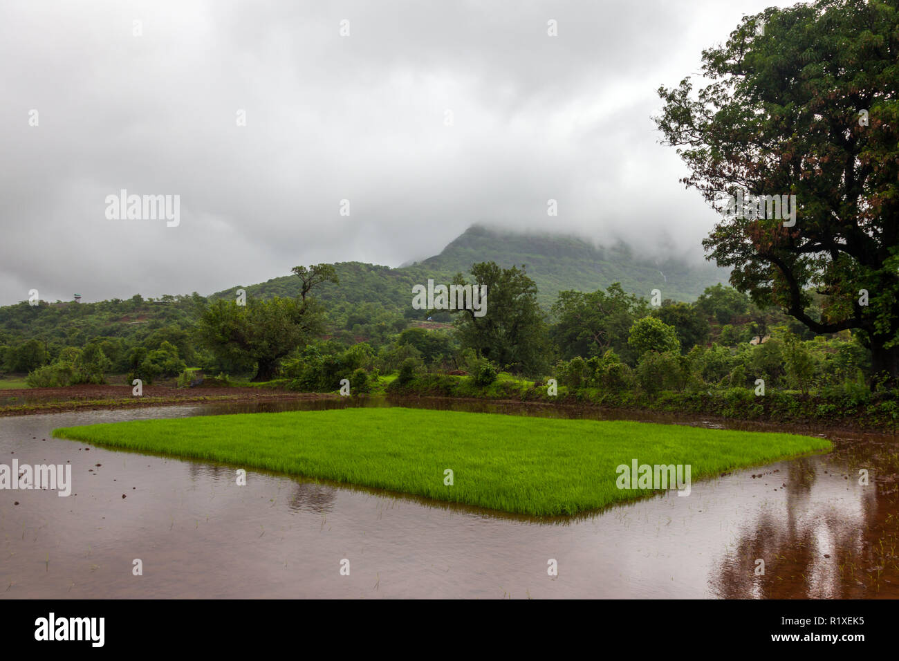 Monsoon landscapes around Tamhini Ghat and Mulshi Dam in western ghats ...