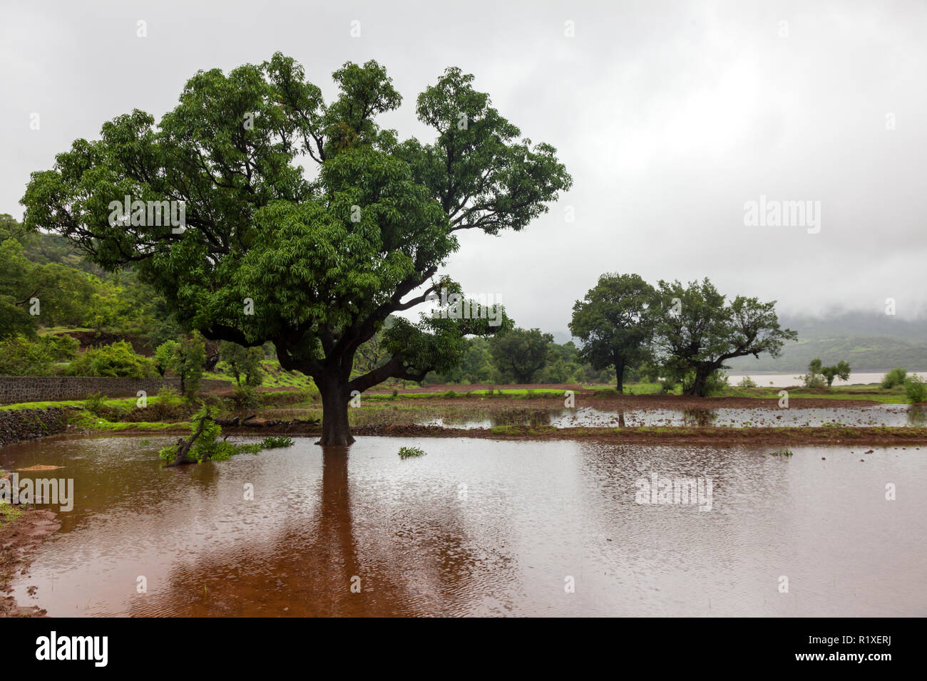 Monsoon landscapes around Tamhini Ghat and Mulshi Dam in western ghats ...