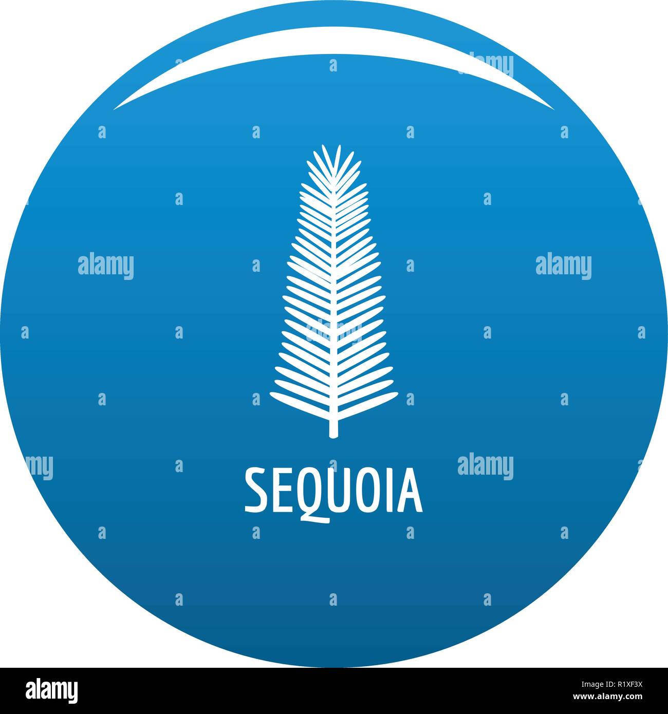 Sequoia leaf icon vector blue circle isolated on white background Stock ...