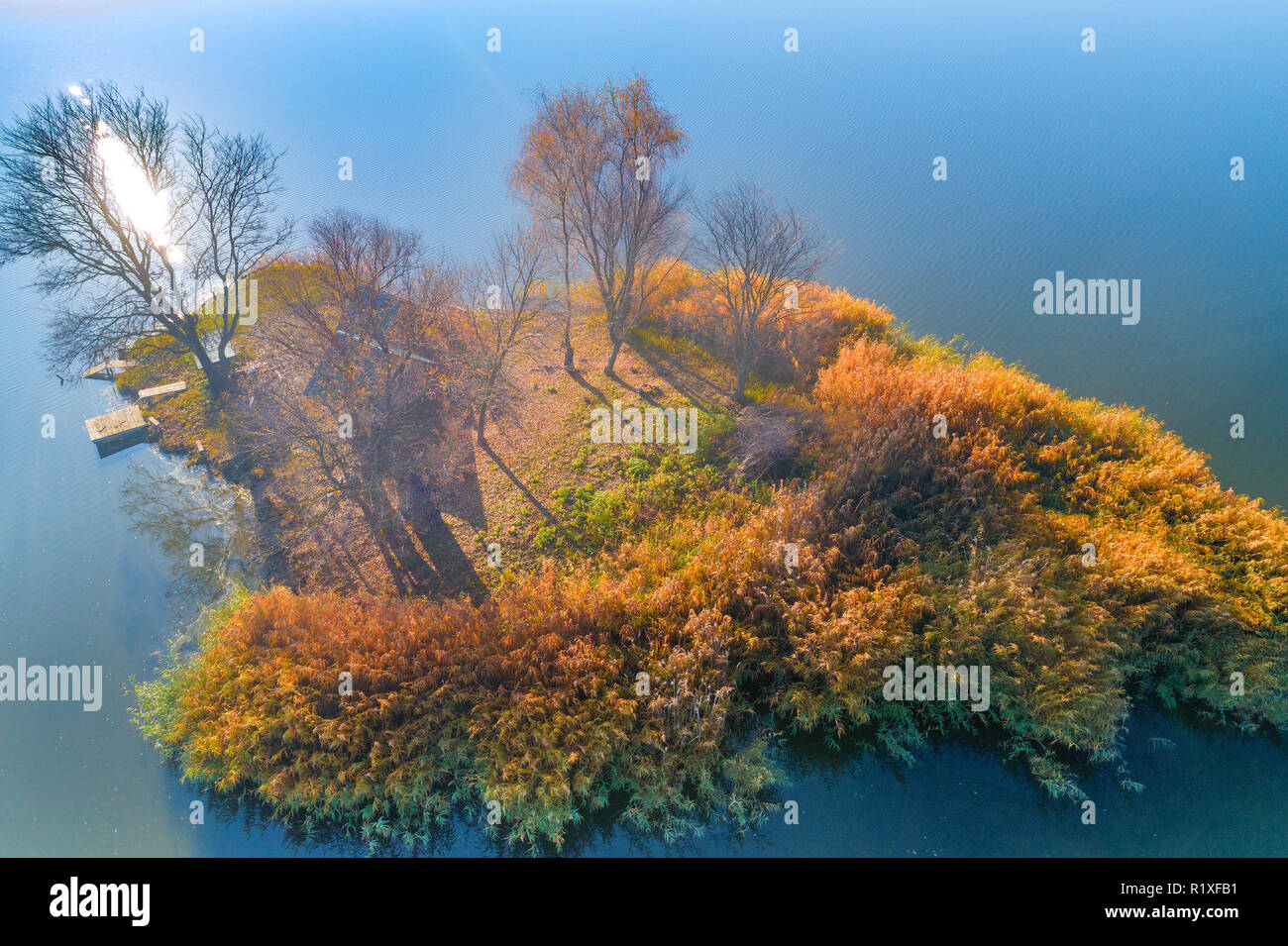 Small island with trees on lake hi-res stock photography and images - Alamy