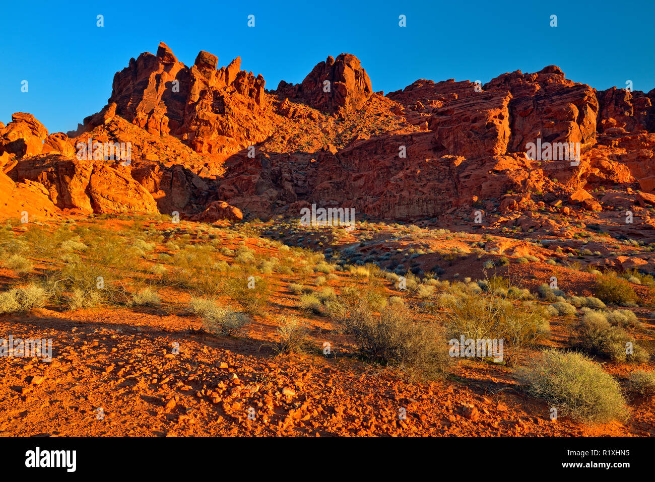 Rock formations and Mojave desert scrub community , Valley of Fire ...
