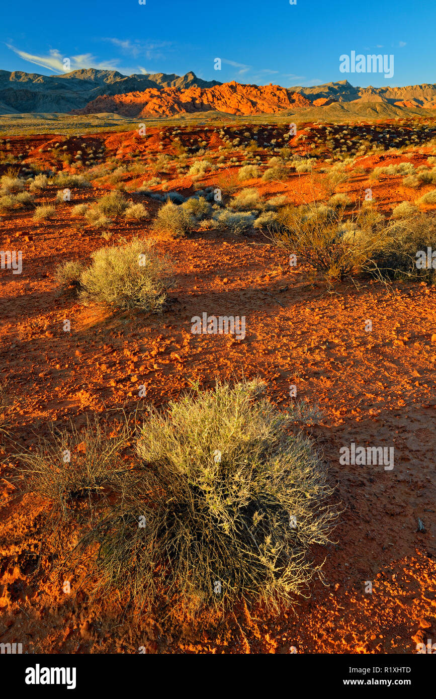 Rock formations and Mojave desert scrub community , Valley of Fire ...