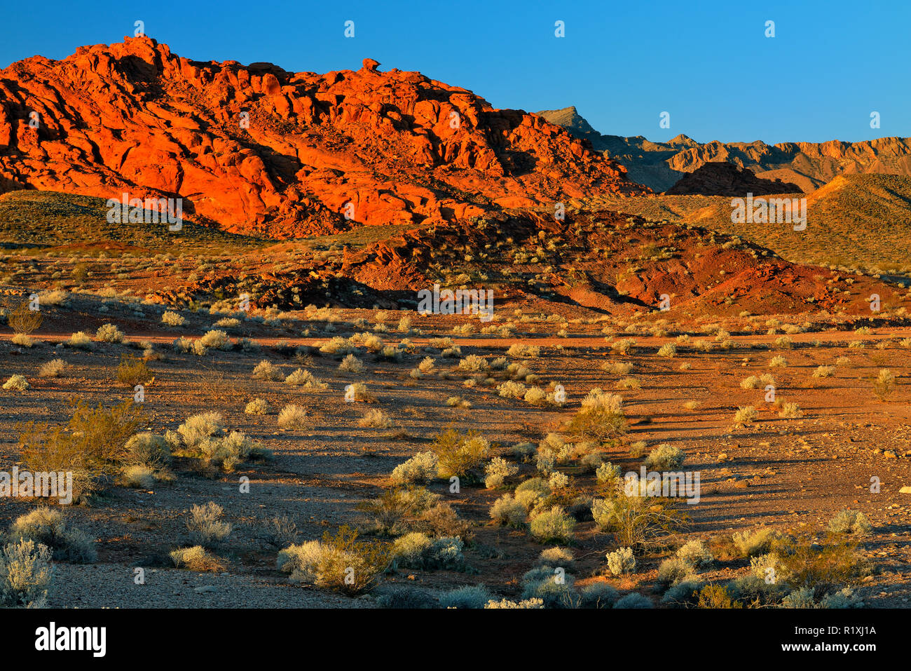 Rock formations and Mojave desert scrub community , Valley of Fire ...