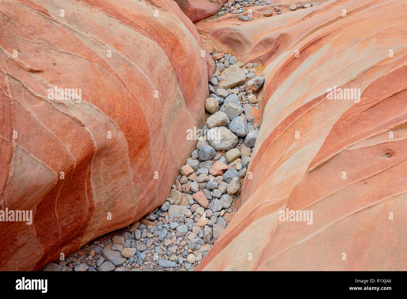 Weathered sandstones in a slot canyon along the White Domes Trail ...