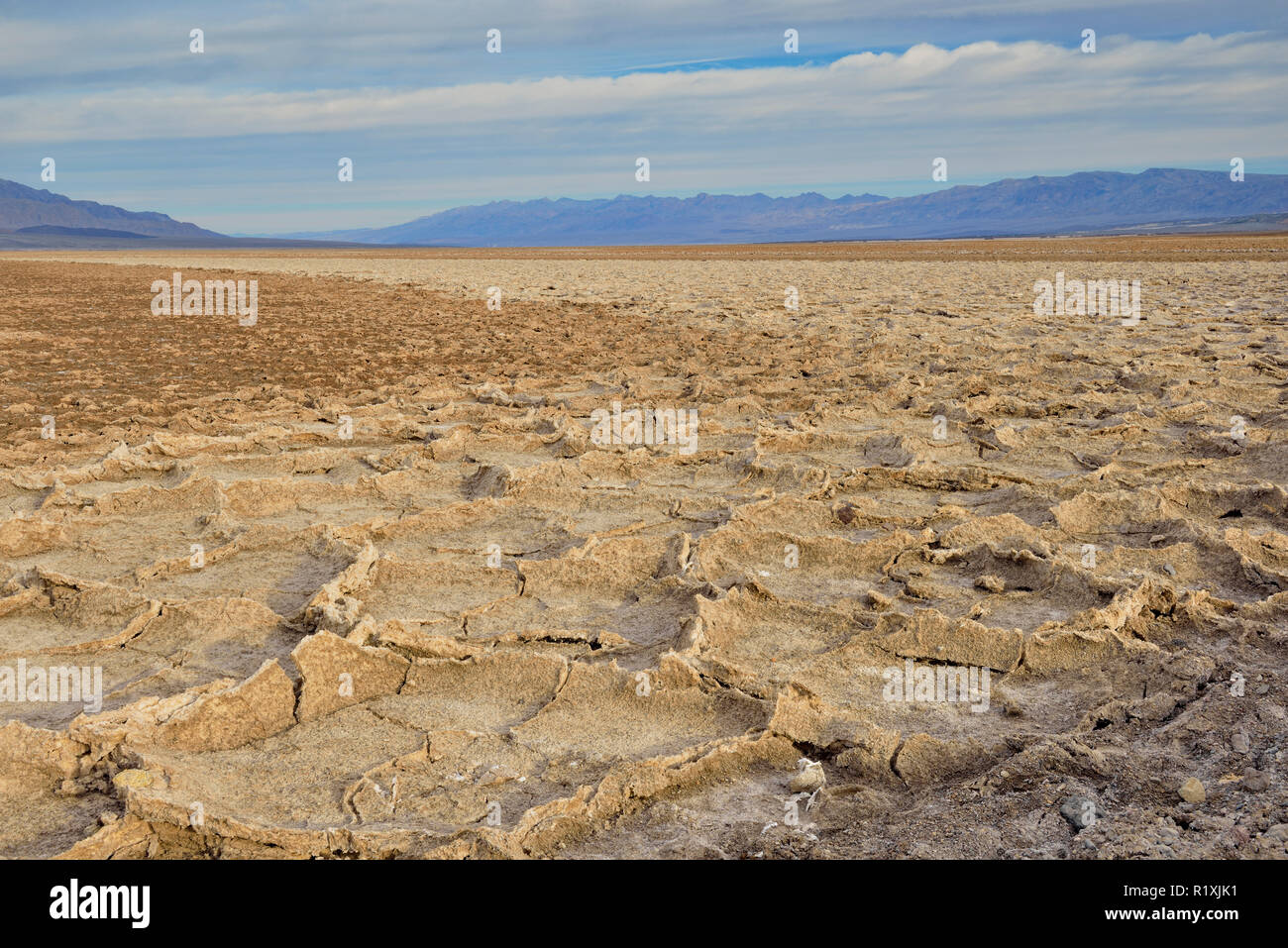 Salt polygons on the West Side Road of Death Valley, Death Valley ...