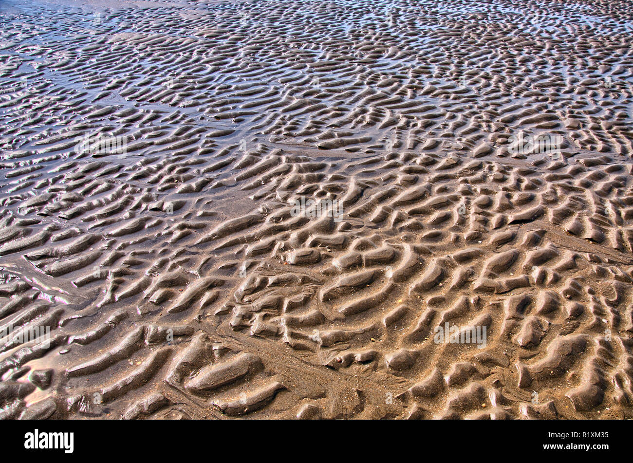Furrows in the beach in North Sea, Zandvoort near Amsterdam, Holland ...