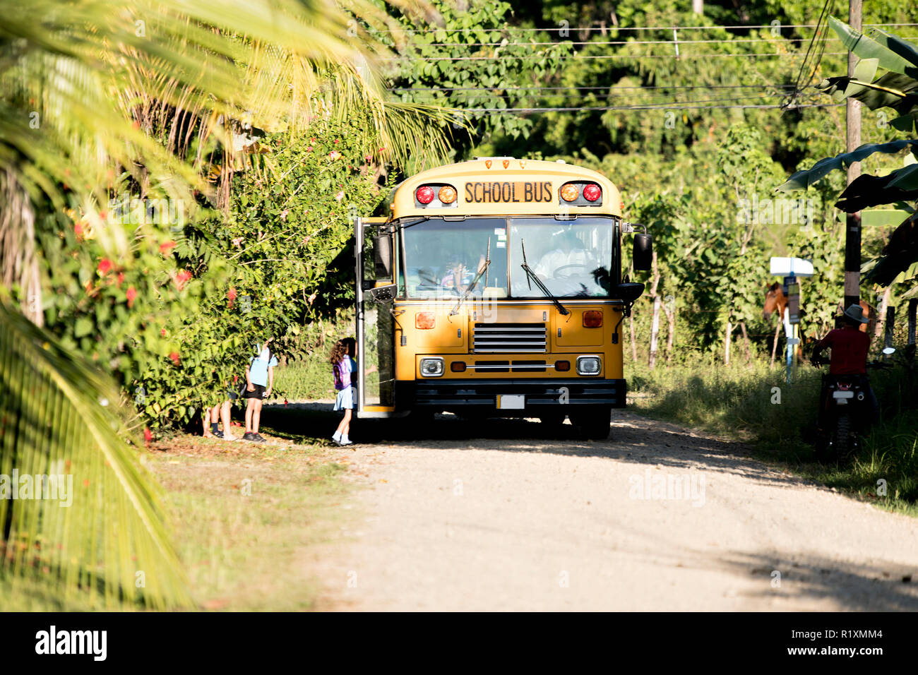 The Costa Rica bus with student enter on it Stock Photo - Alamy