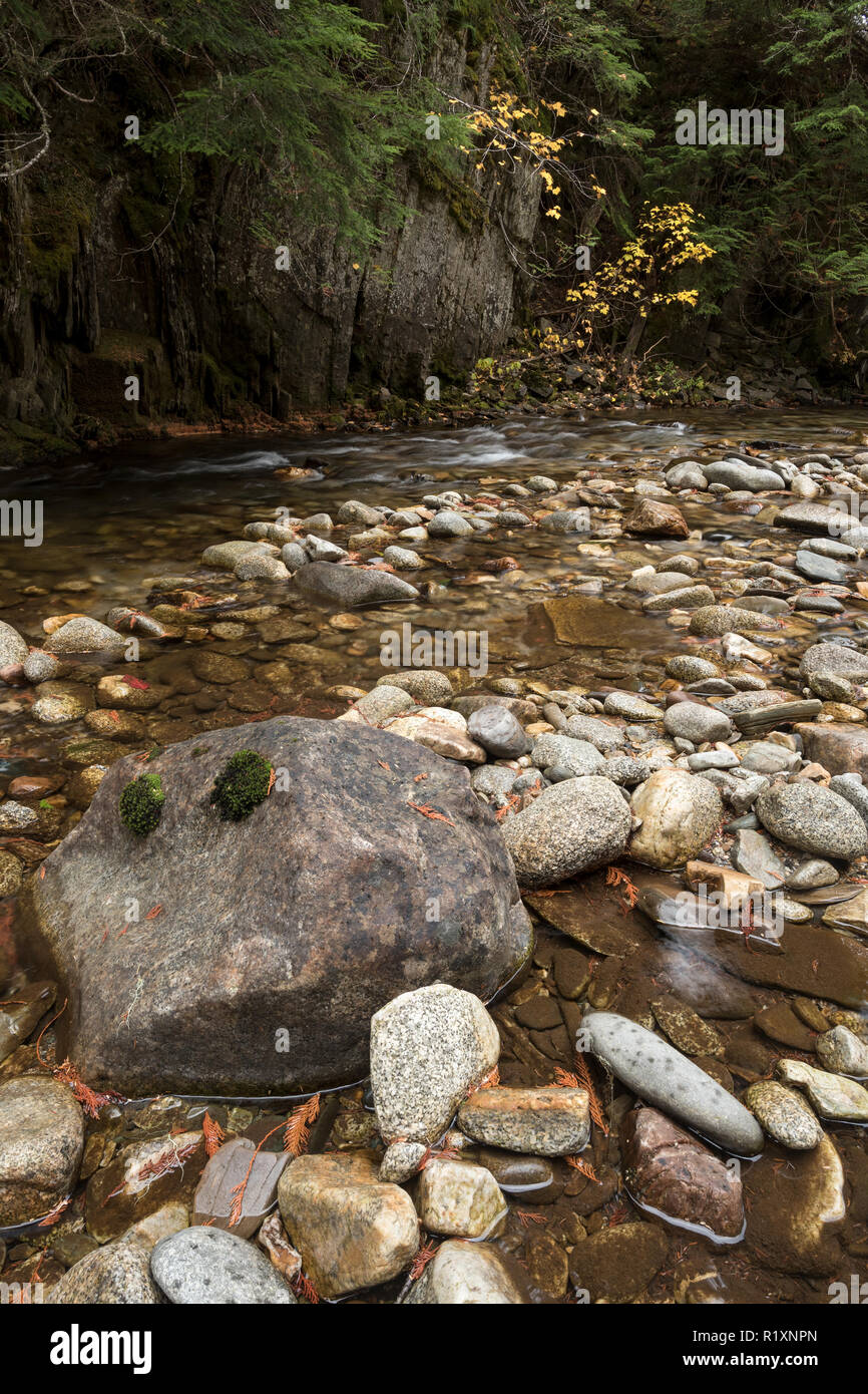 Upper Priest River, Selkirk Mountains, Idaho Stock Photo - Alamy