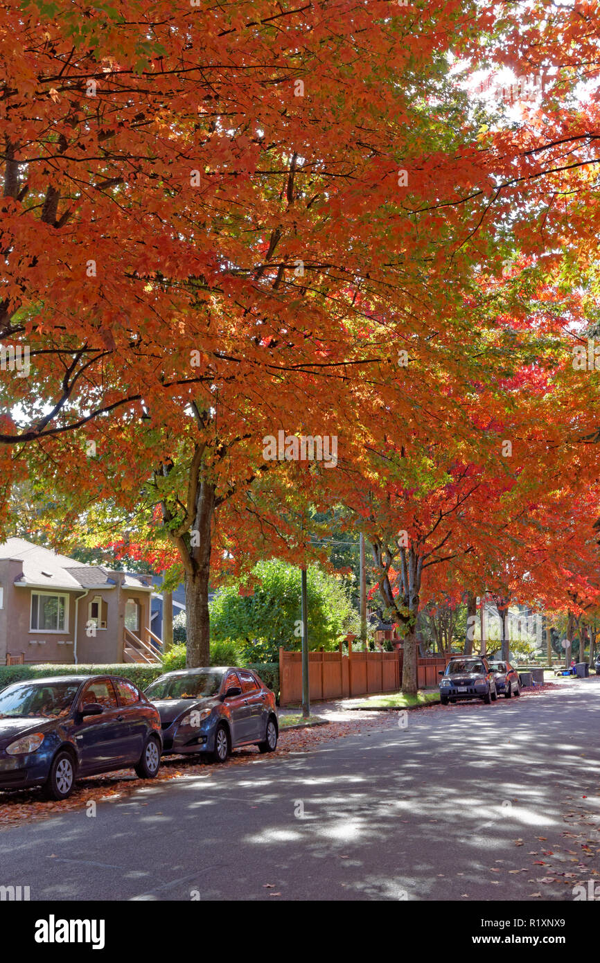 Neighborhood neighbourhood hi-res stock photography and images - Alamy