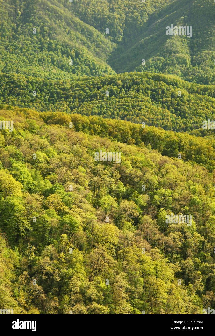 Landscape near Vozrozhdenie village and Gelendzhik town. Krasnodar Krai ...