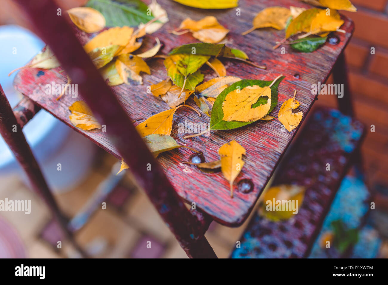 Autumn leaves on the garden metal ladder. Autumn background Stock Photo ...