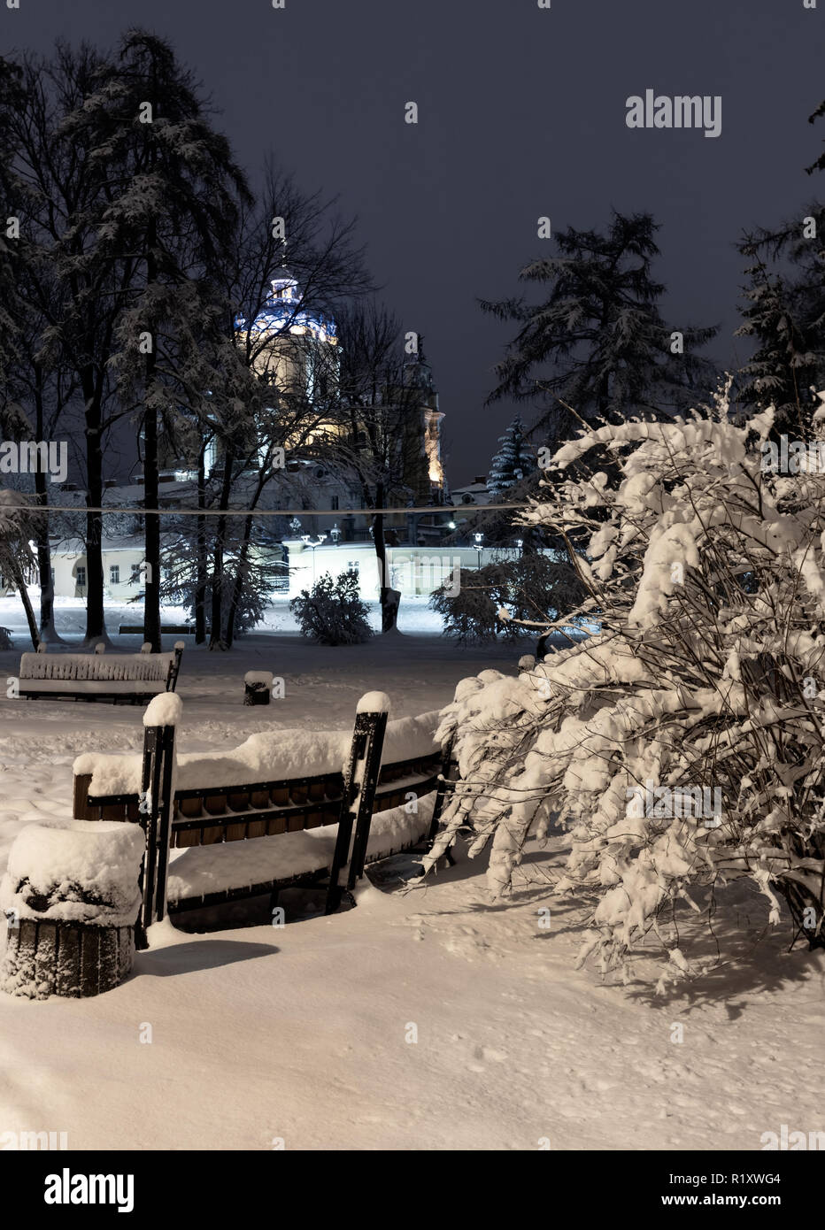 Beautiful night winter park in the center of Lviv city (Ukraine) with ...