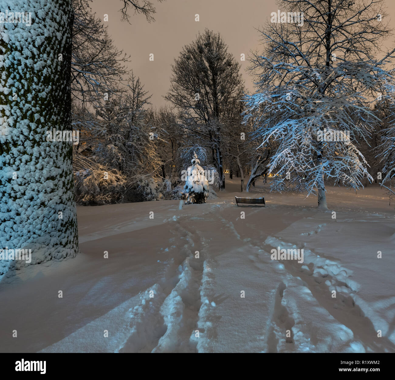 Beautiful night winter Ivan Franko park in the center of Lviv city ...
