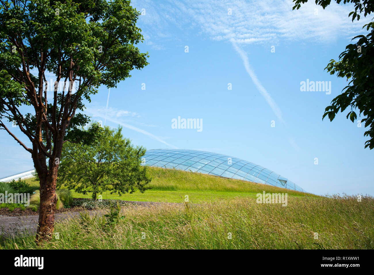 Dome shaped glass roof of The Great Glasshouse of the National Botanic ...
