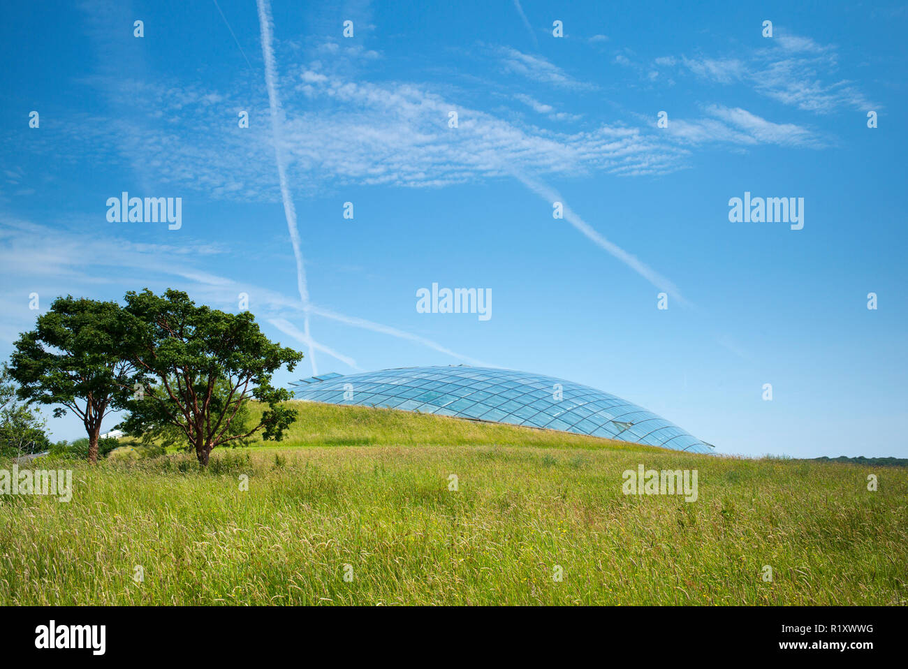 Dome shaped glass roof of The Great Glasshouse of the National Botanic ...