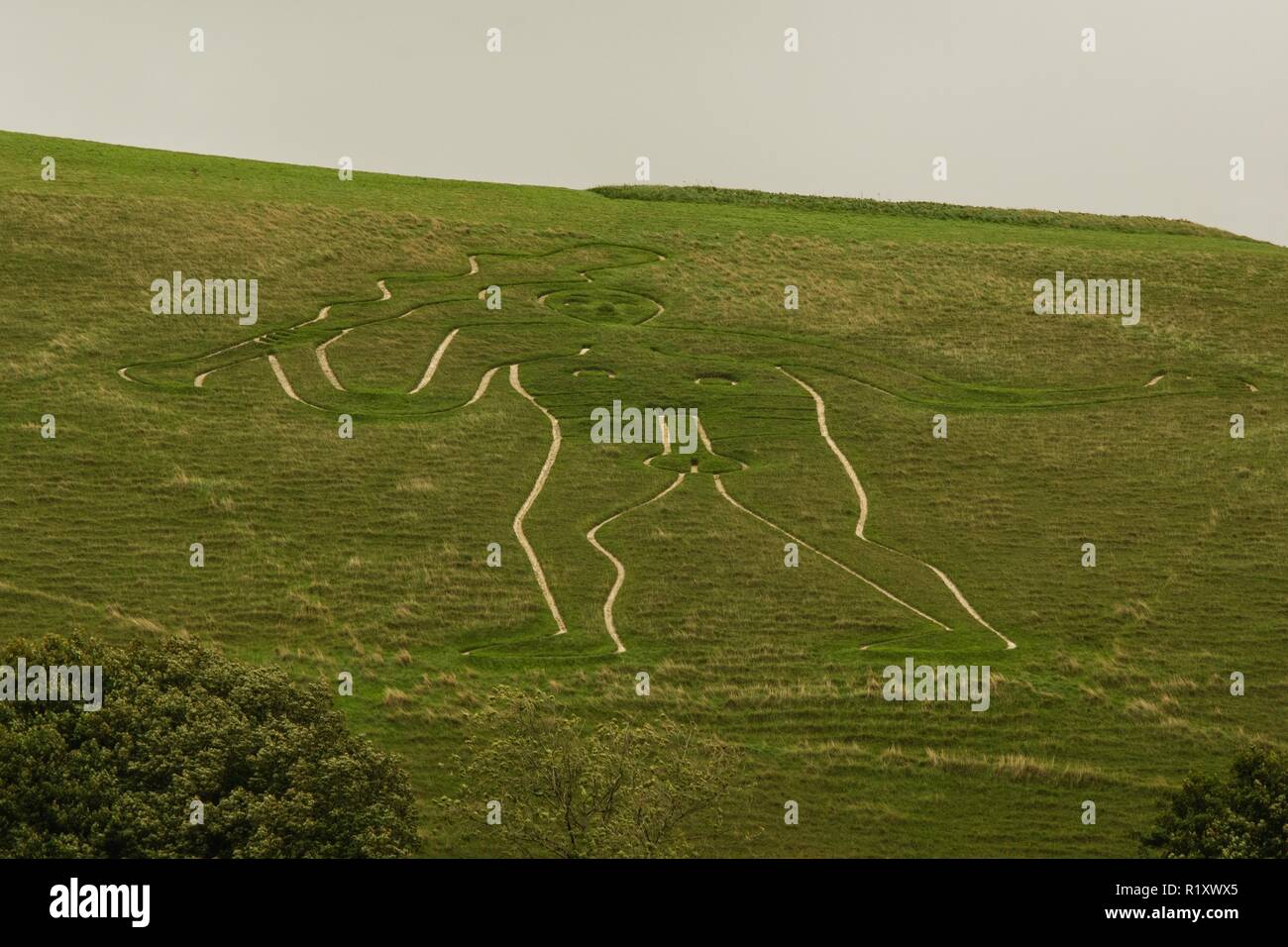 Cerne Abbas hill giant chalk figure Stock Photo - Alamy