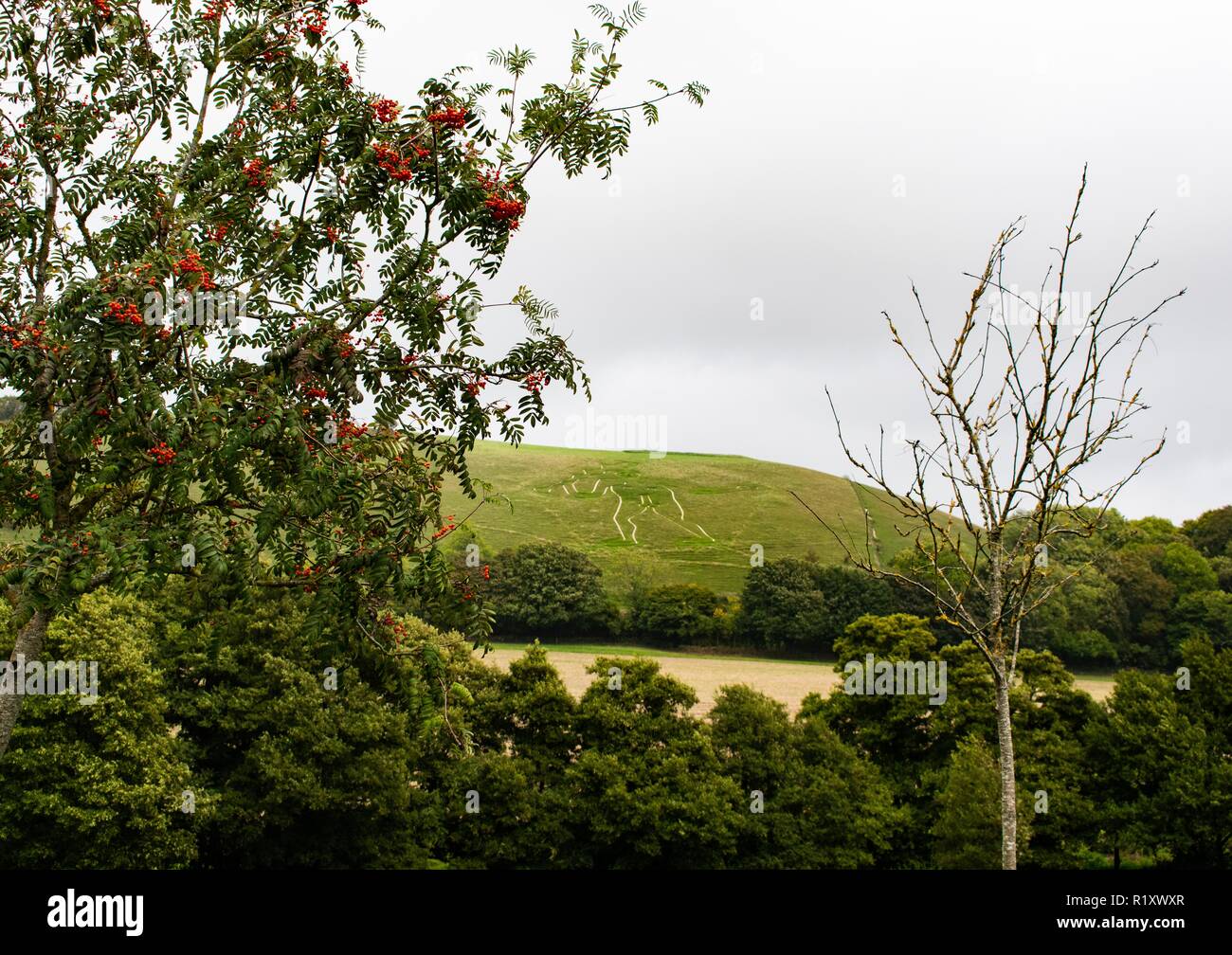 Cerne abbas giant dorset hi-res stock photography and images - Alamy