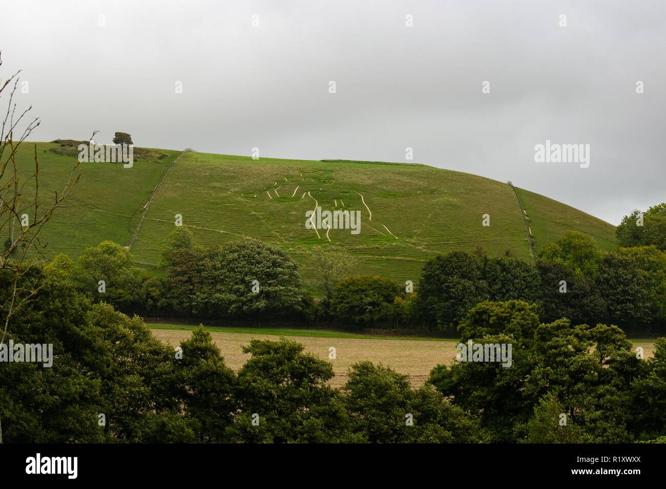 Cerne Abbas hill giant chalk figure Stock Photo - Alamy