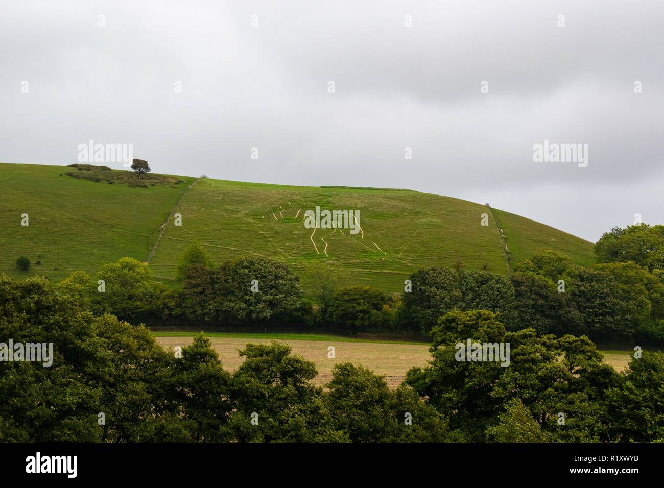 Cerne abbas giant dorset hi-res stock photography and images - Alamy