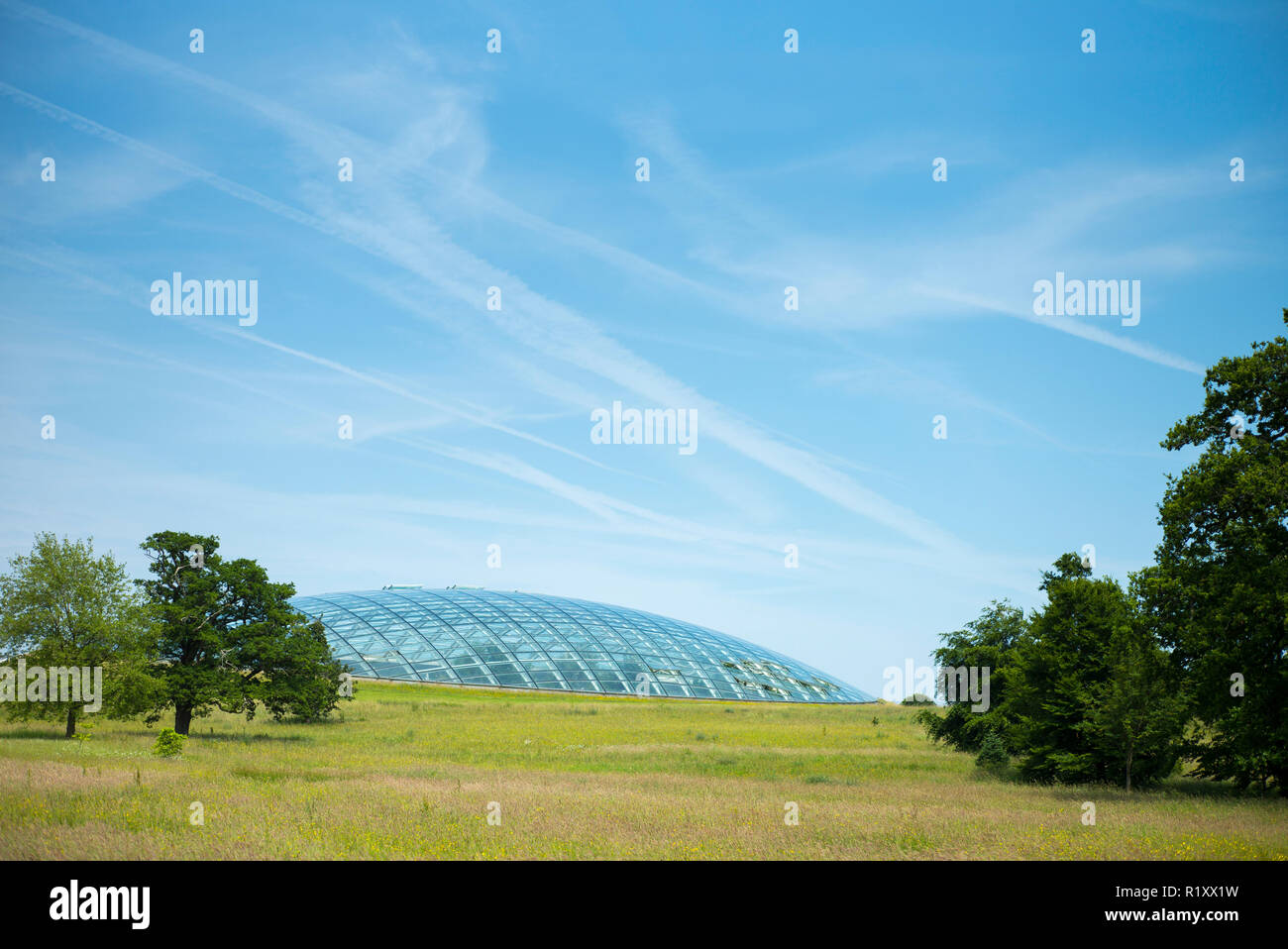 Dome shaped glass roof of The Great Glasshouse of the National Botanic ...