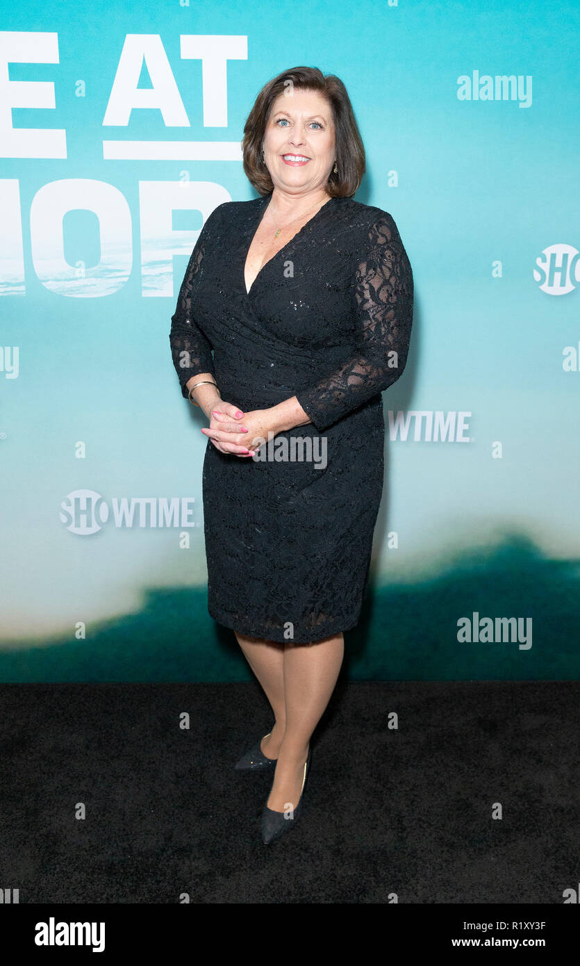 New York, United States. 14th Nov, 2018. Catherine Leahy Scott attends ...