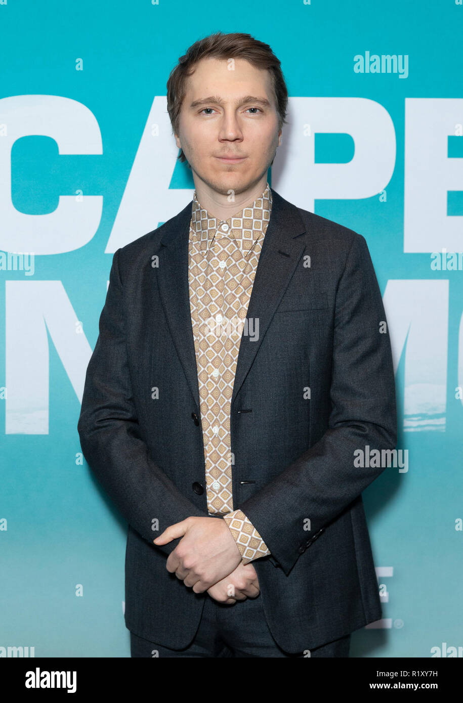 New York, United States. 14th Nov, 2018. Paul Dano attends the Showtime ...