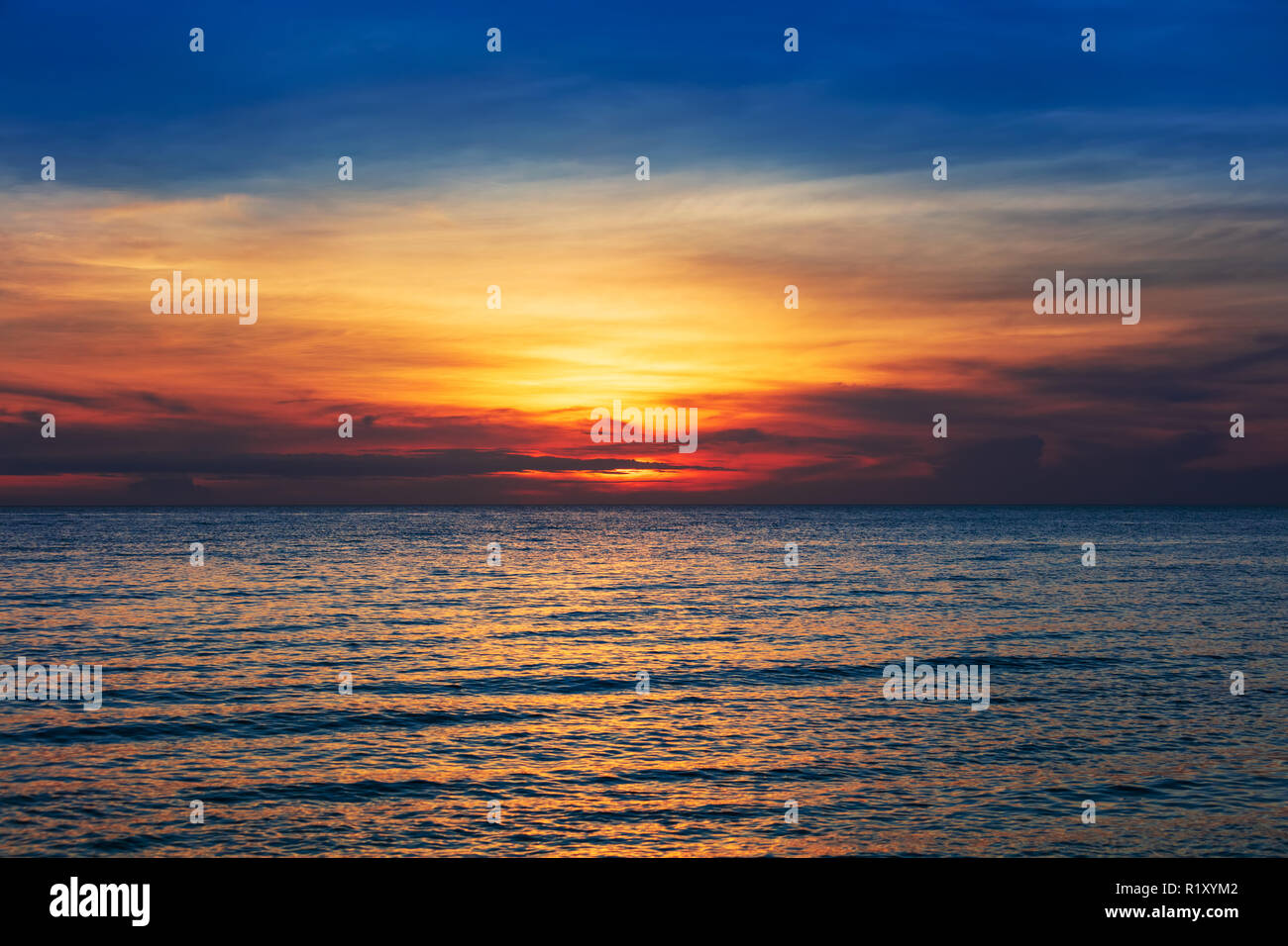 All beauteous hi-res stock photography and images - Alamy