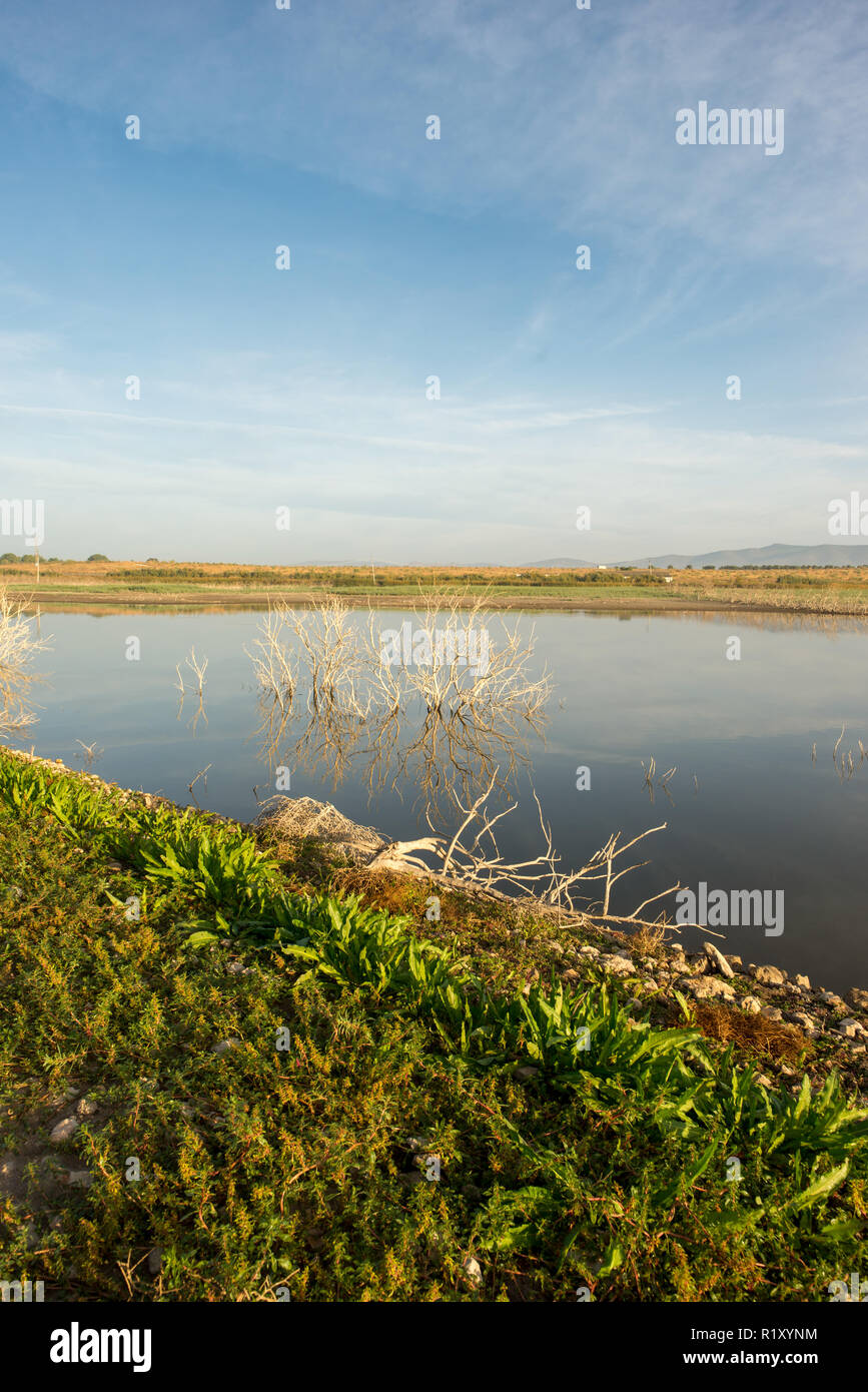 Natural reserve of the guadiana river hi-res stock photography and ...